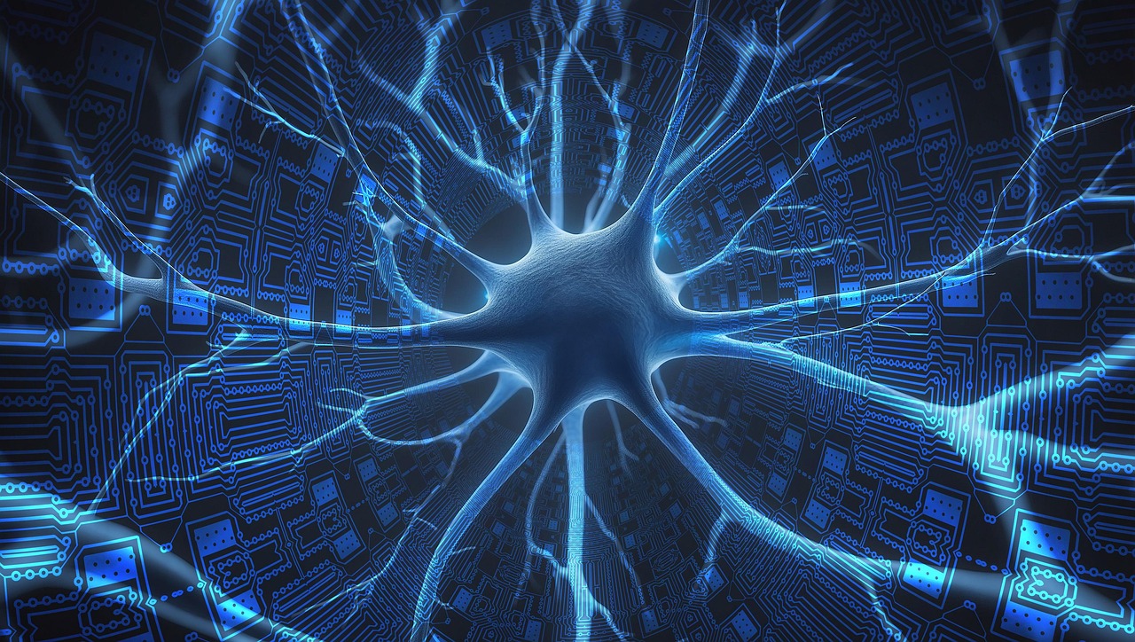 How Chronic Stress and Elevated Cortisol Levels Impact Your Brain ...