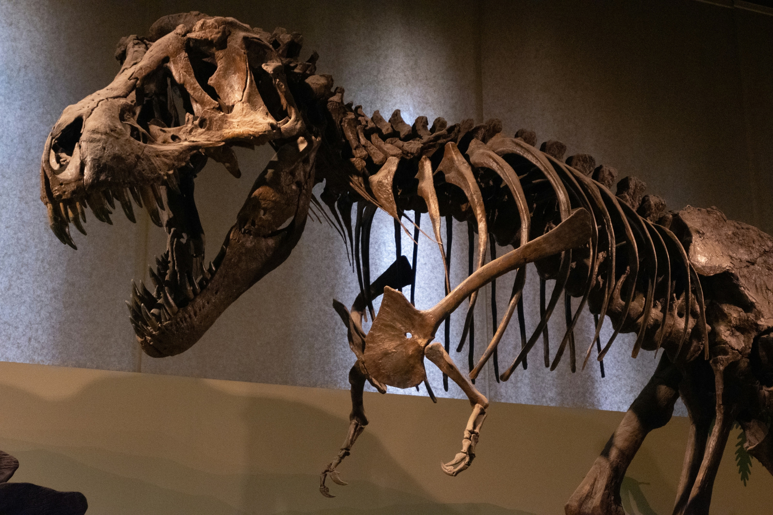 How Close Are We to Real De-Extinction? Current Progress and Challenges ...