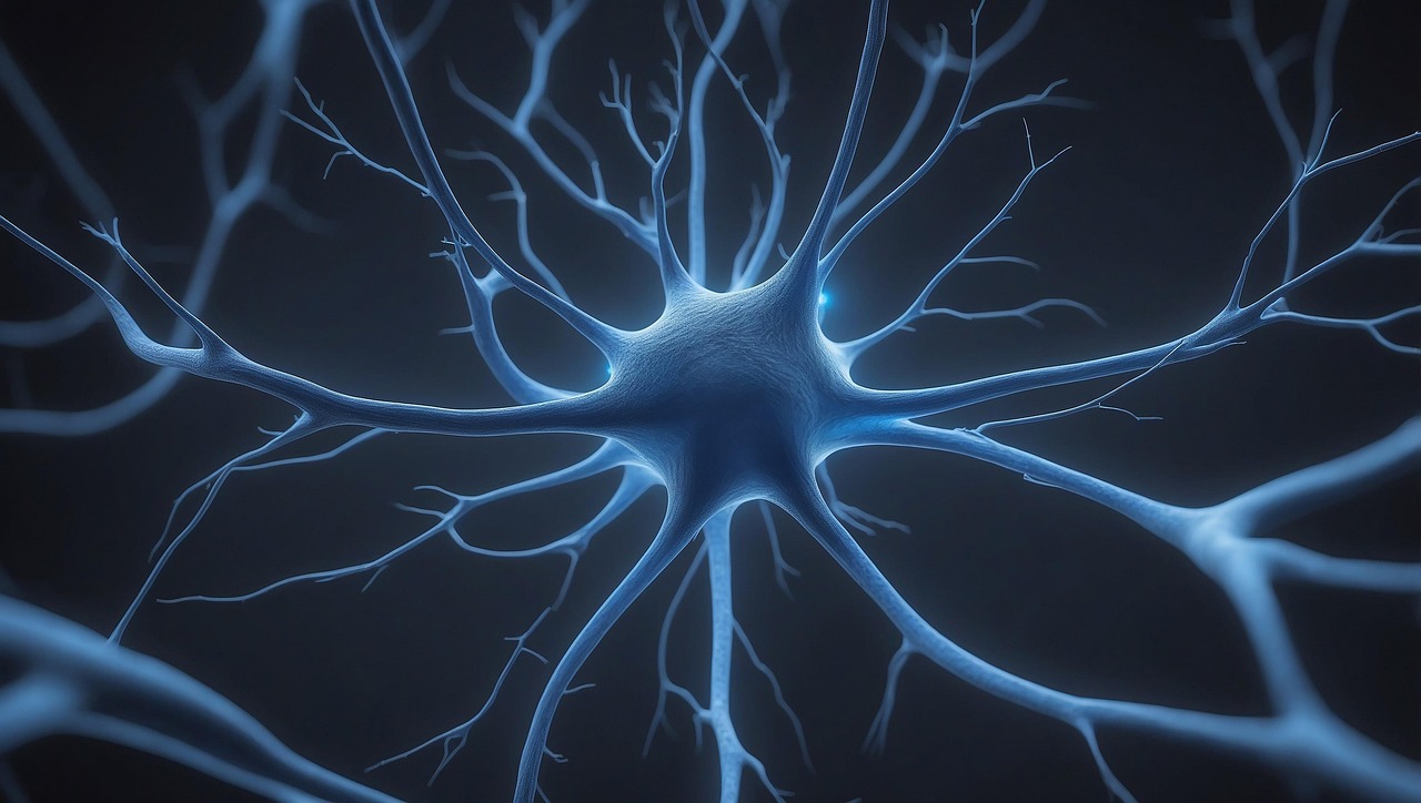 Memory and Learning: How the Brain Stores, Retrieves, and Forgets ...