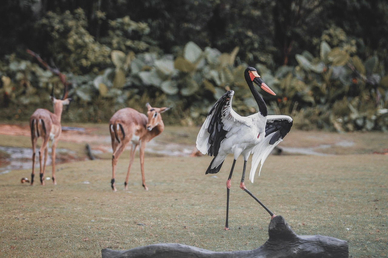Biodiversity: What It Is, Why It Matters, and How It's Measured