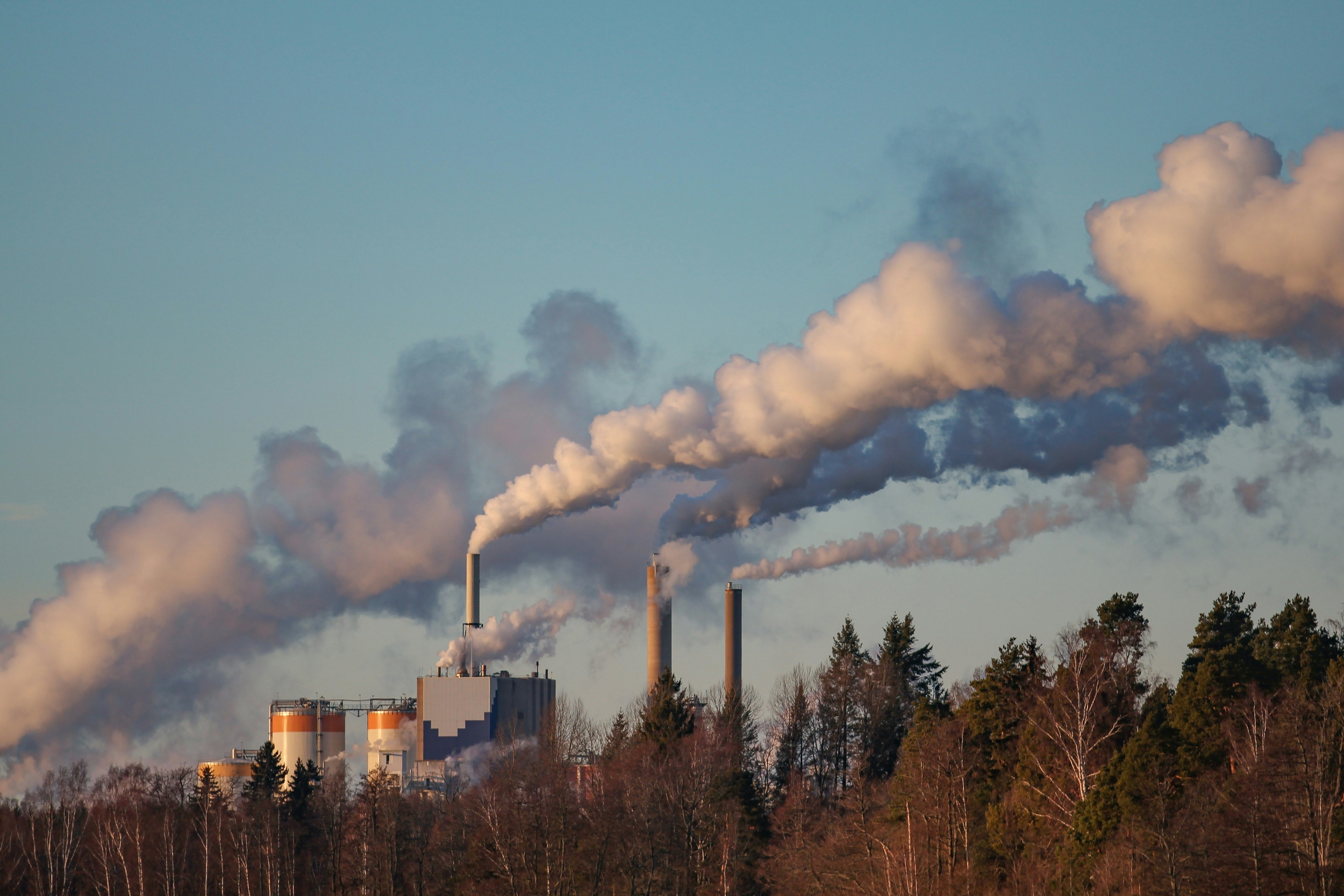 Air Pollution and Health Effects: How Polluted Air Impacts Your Lungs ...