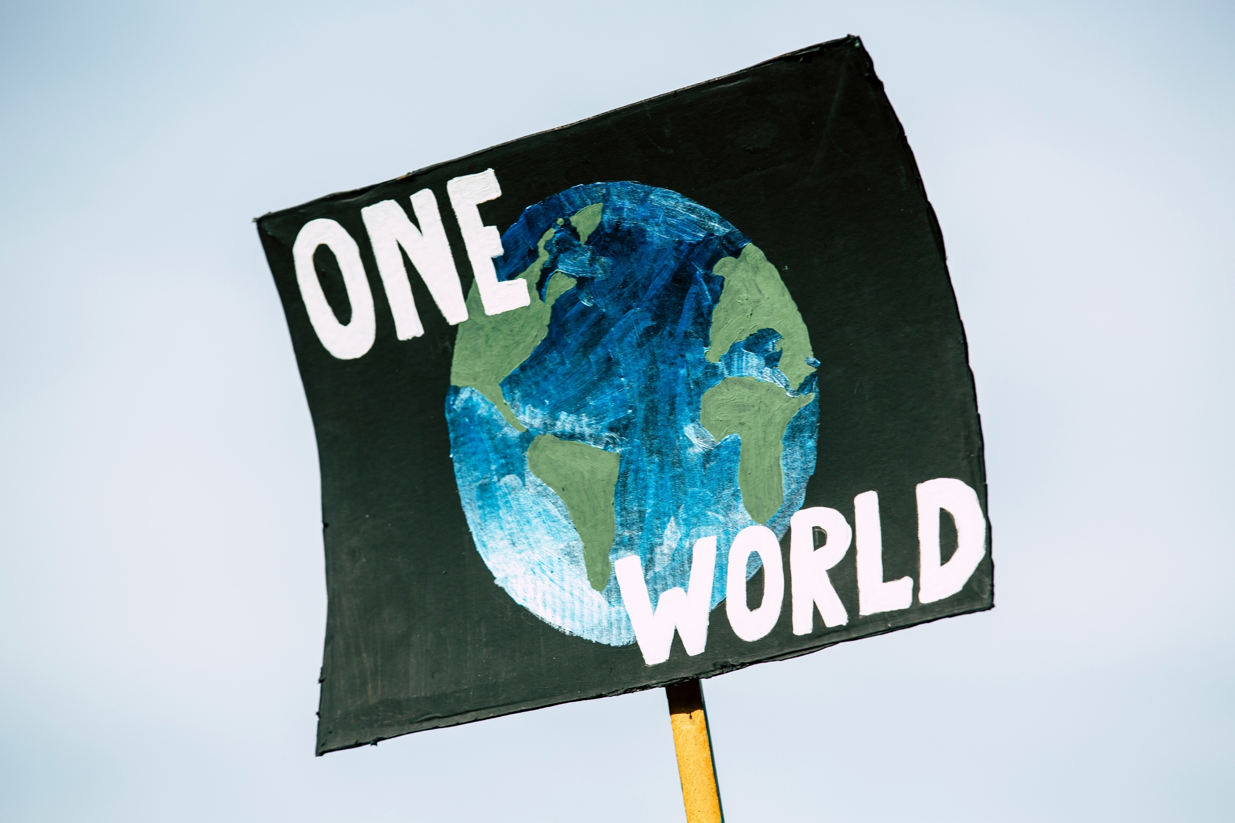 Climate Adaptation Strategies Explained: How Societies Respond to ...