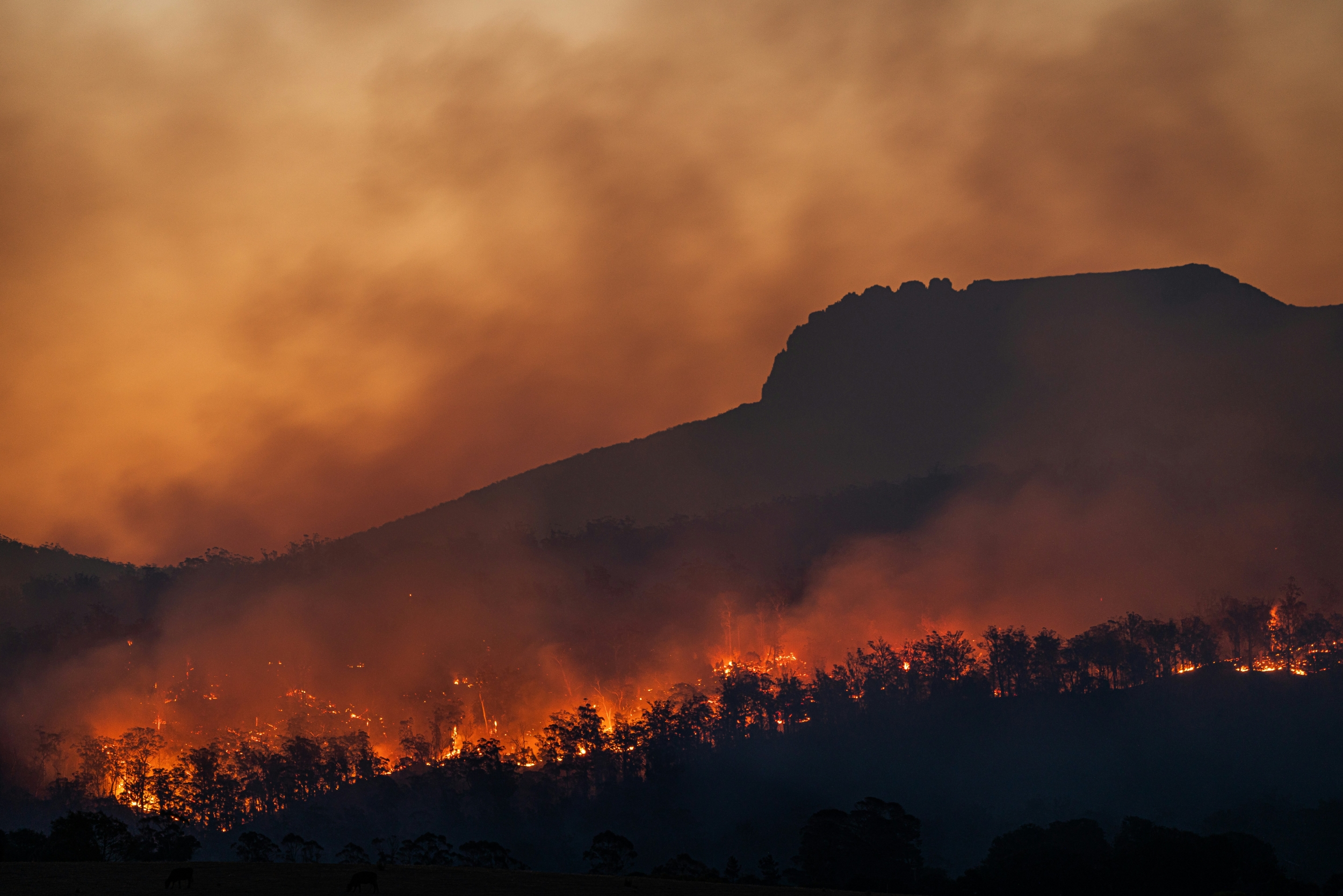 Why Climate Change Is Accelerating Faster Than Scientists Originally ...