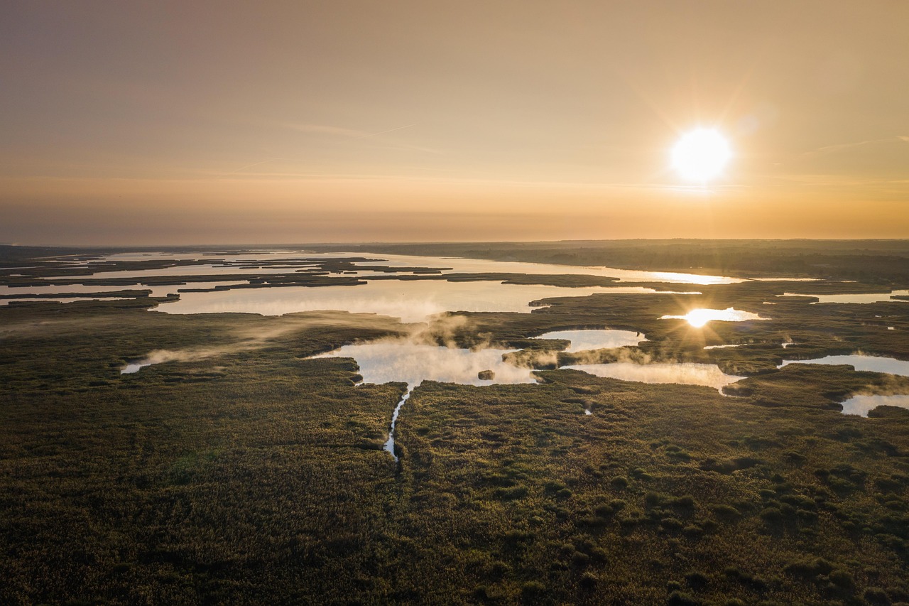 Why Protecting Wetlands Matters: The Key to Flood Prevention and a ...
