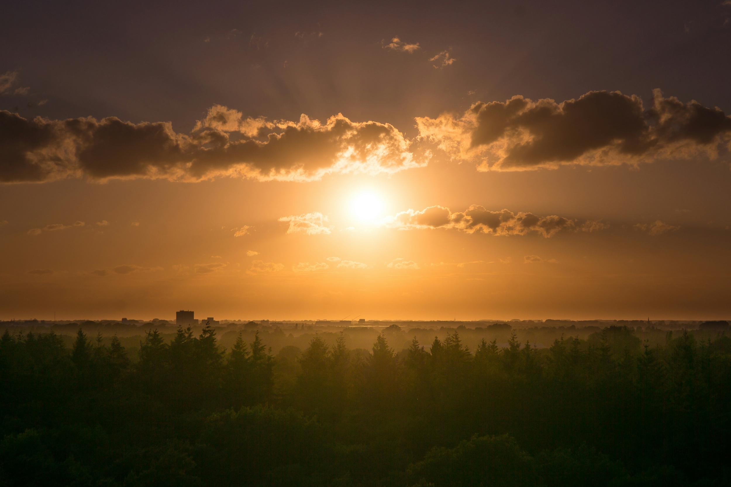 Why the Sun Is Vital for Life, Health, and Earth's Ecosystems Beyond ...