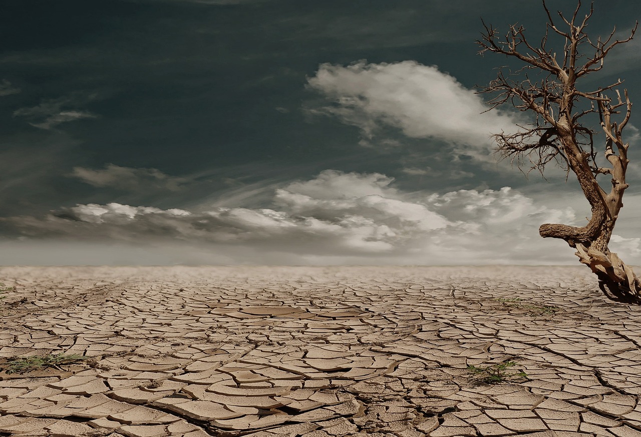 Soil Degradation Crisis: Why Global Food Security Depends on Land ...