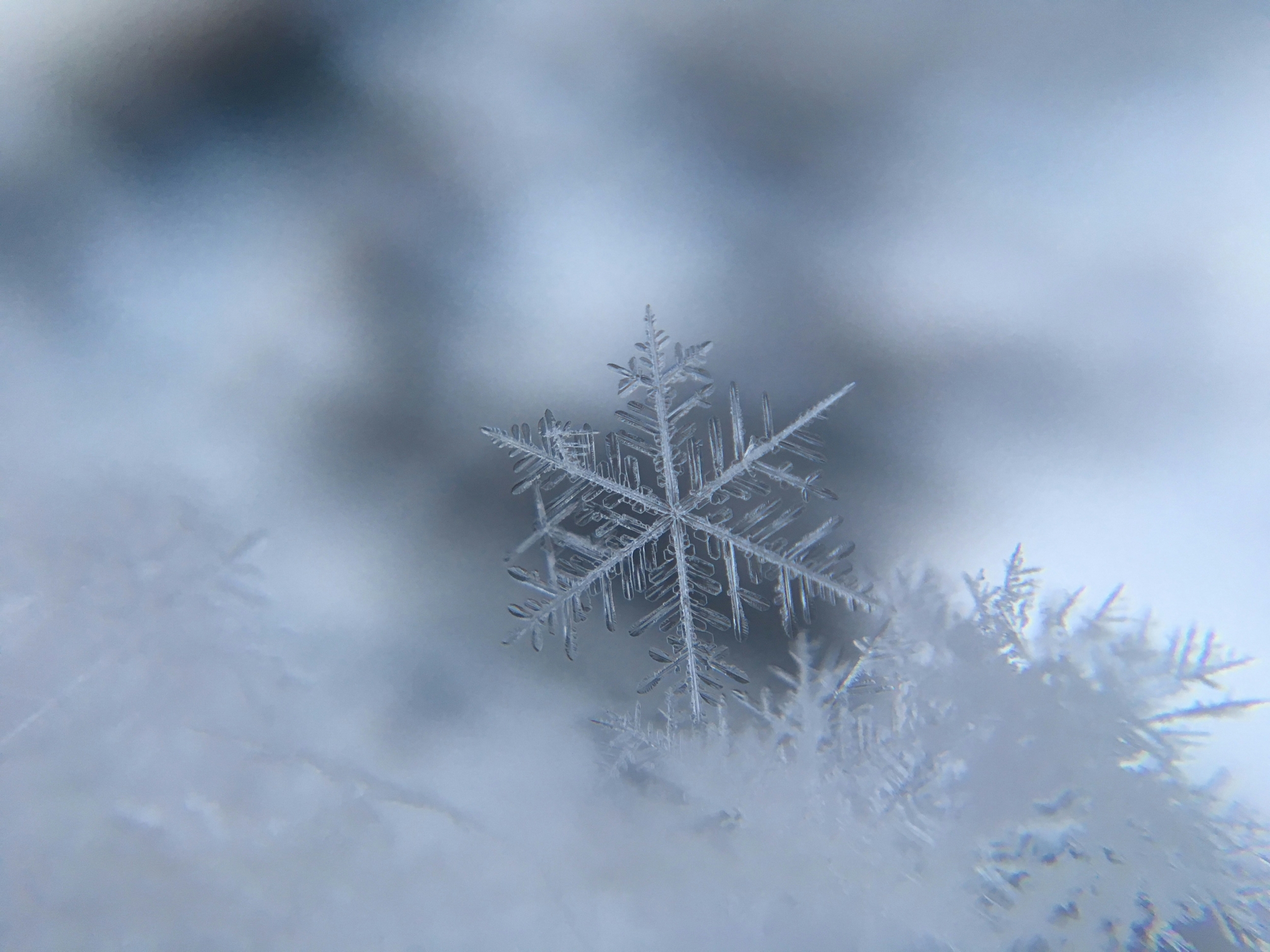The World's Rarest Snow and Ice Phenomena That Prove Winter Can Defy ...