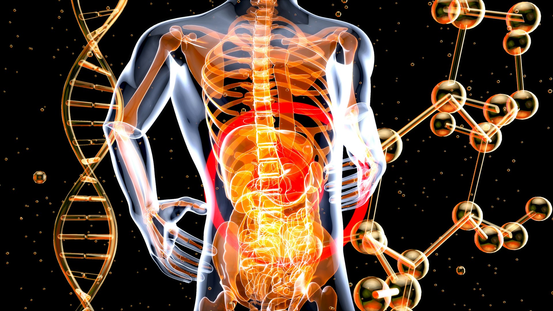 Gut Health in 2026: How Science-Backed Brands Are Redefining Everyday ...