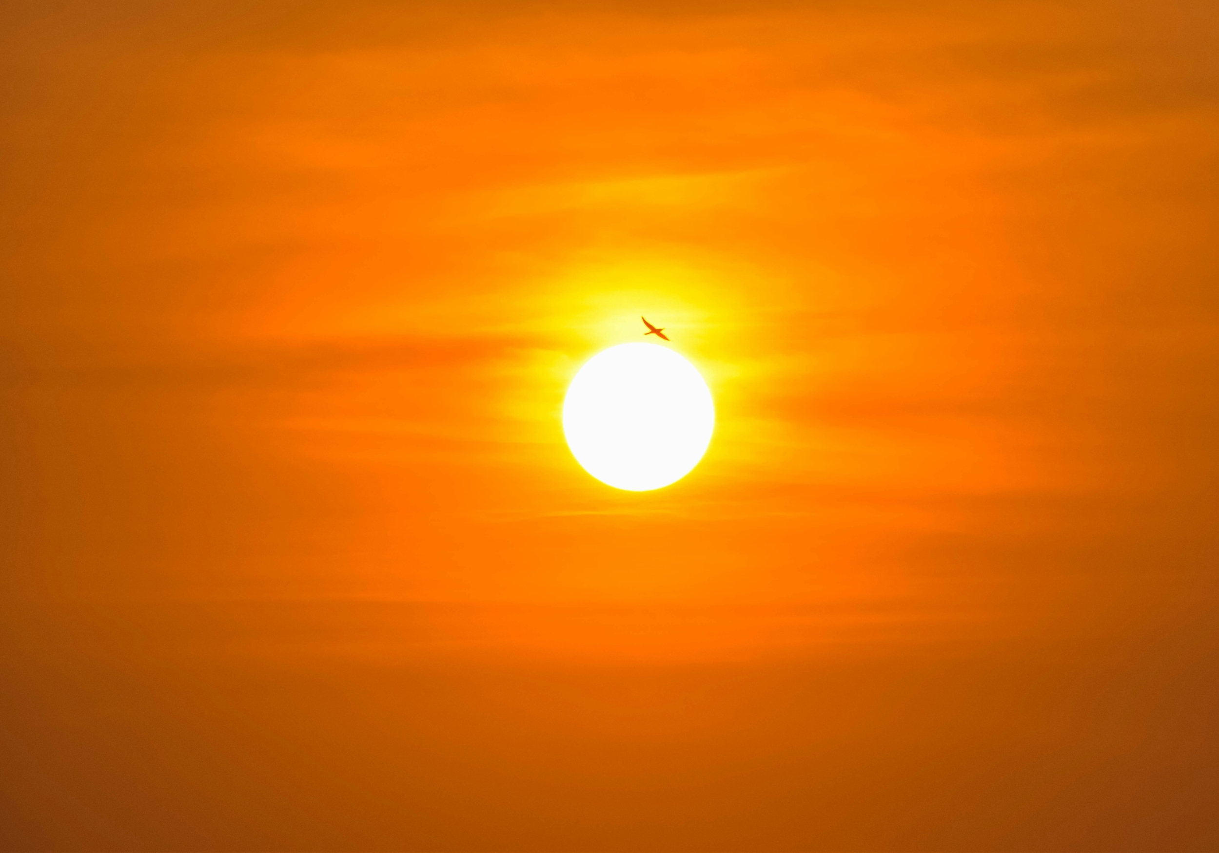 Sun Reaches Solar Maximum: What the Intensifying 11-Year Solar Cycle ...
