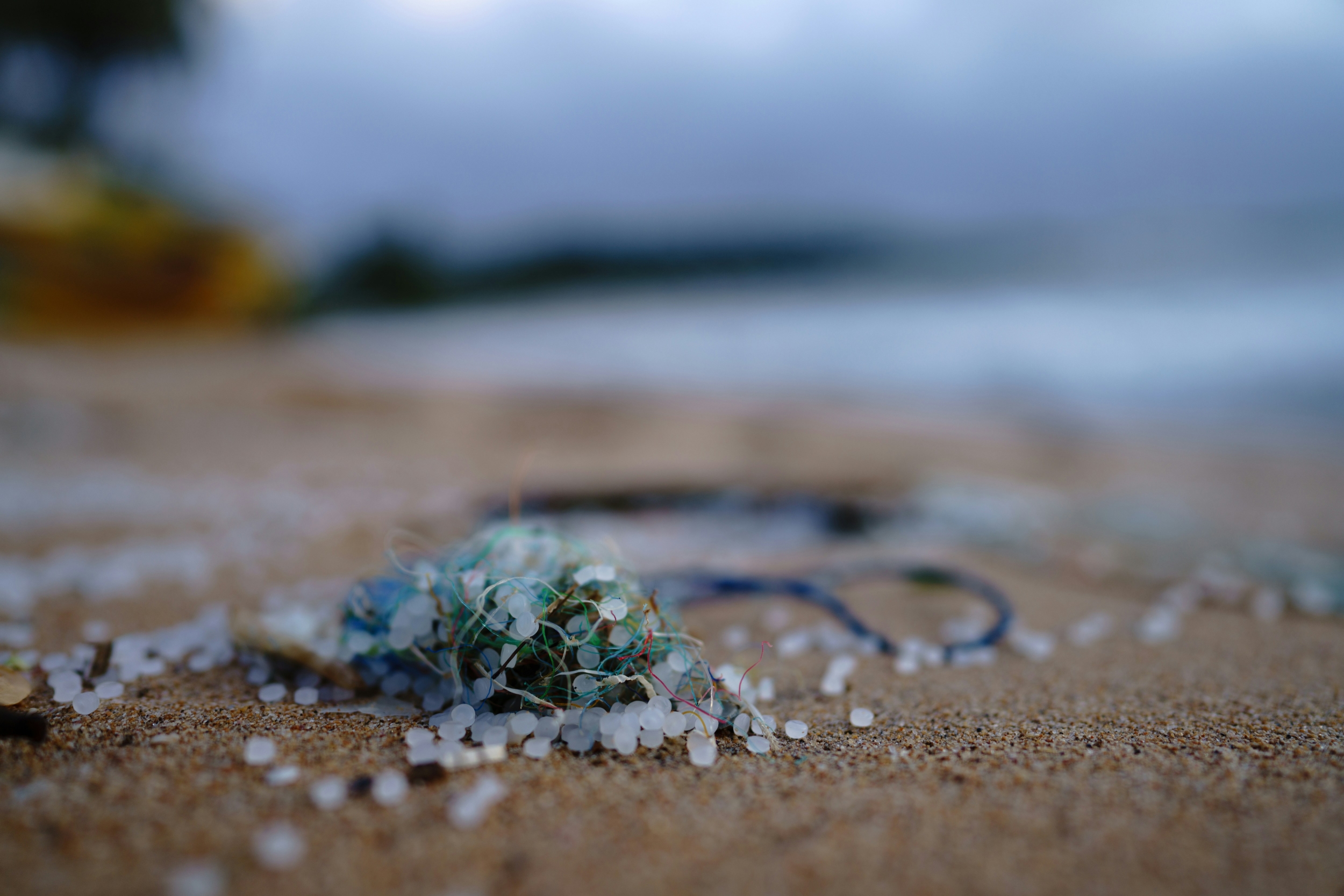 What Happens When Microplastics Fall in Rain? Scientists Reveal Global ...