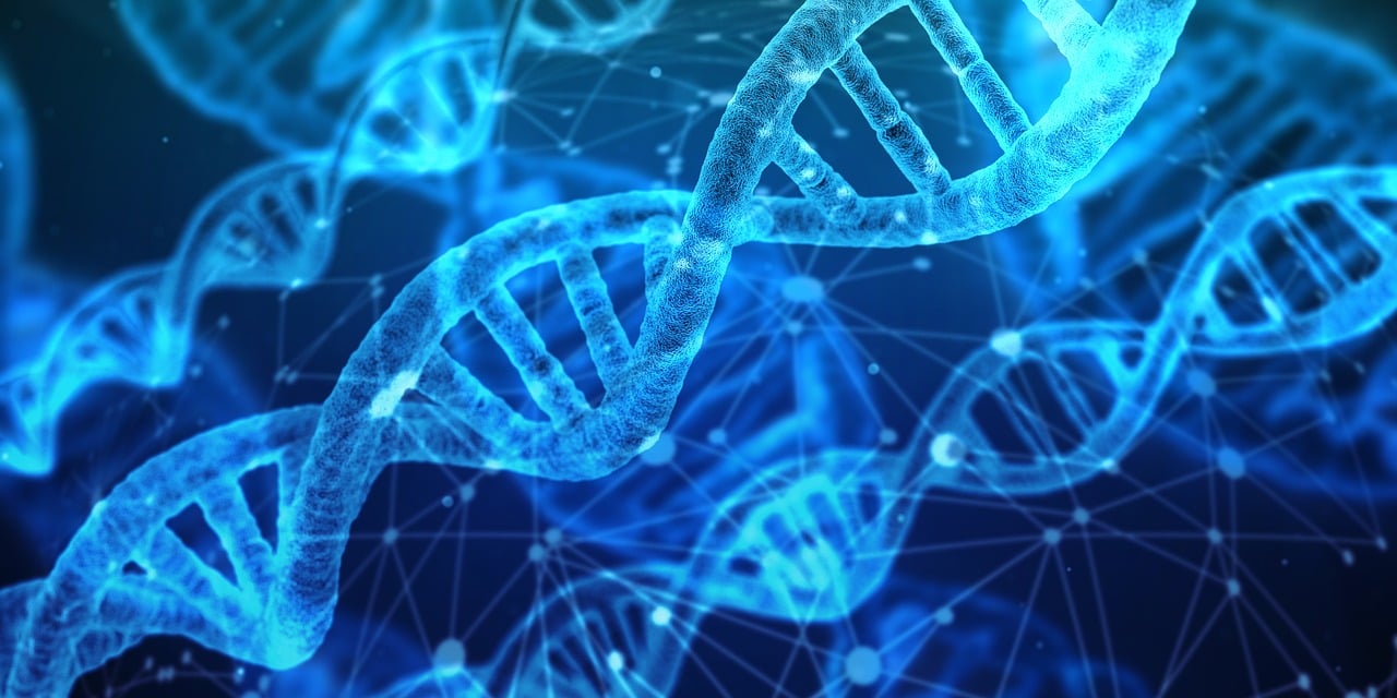 Understanding Synthetic Biology and How Engineered Organisms Are ...