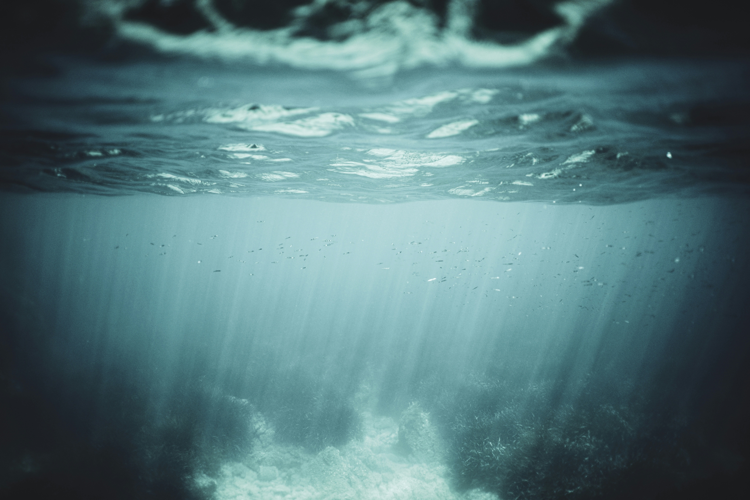 What Secrets Lie Deep in the Mariana Trench? Exploring the Ocean's ...