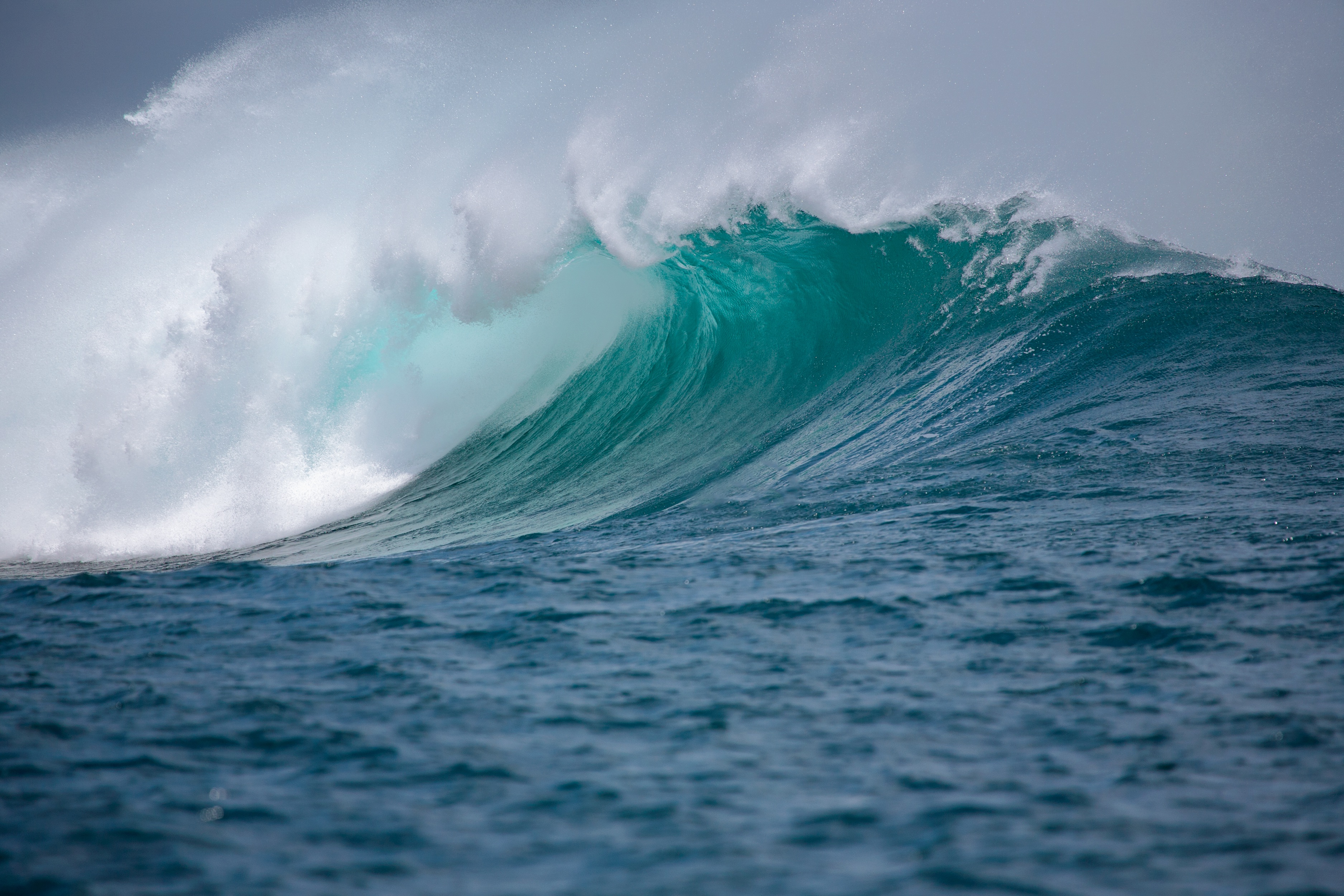 Ocean Color Change and Why the Ocean Turning Green Signals Major Marine ...
