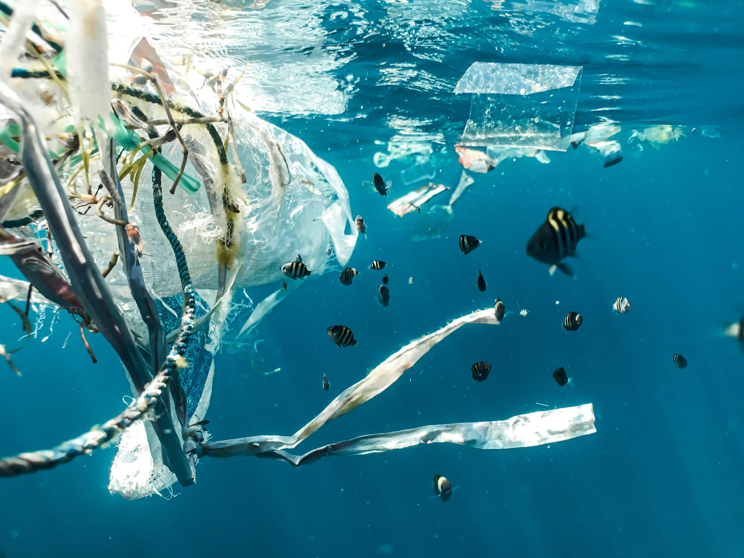 Ocean Plastic Pollution: Microplastics, Great Pacific Garbage Patch ...