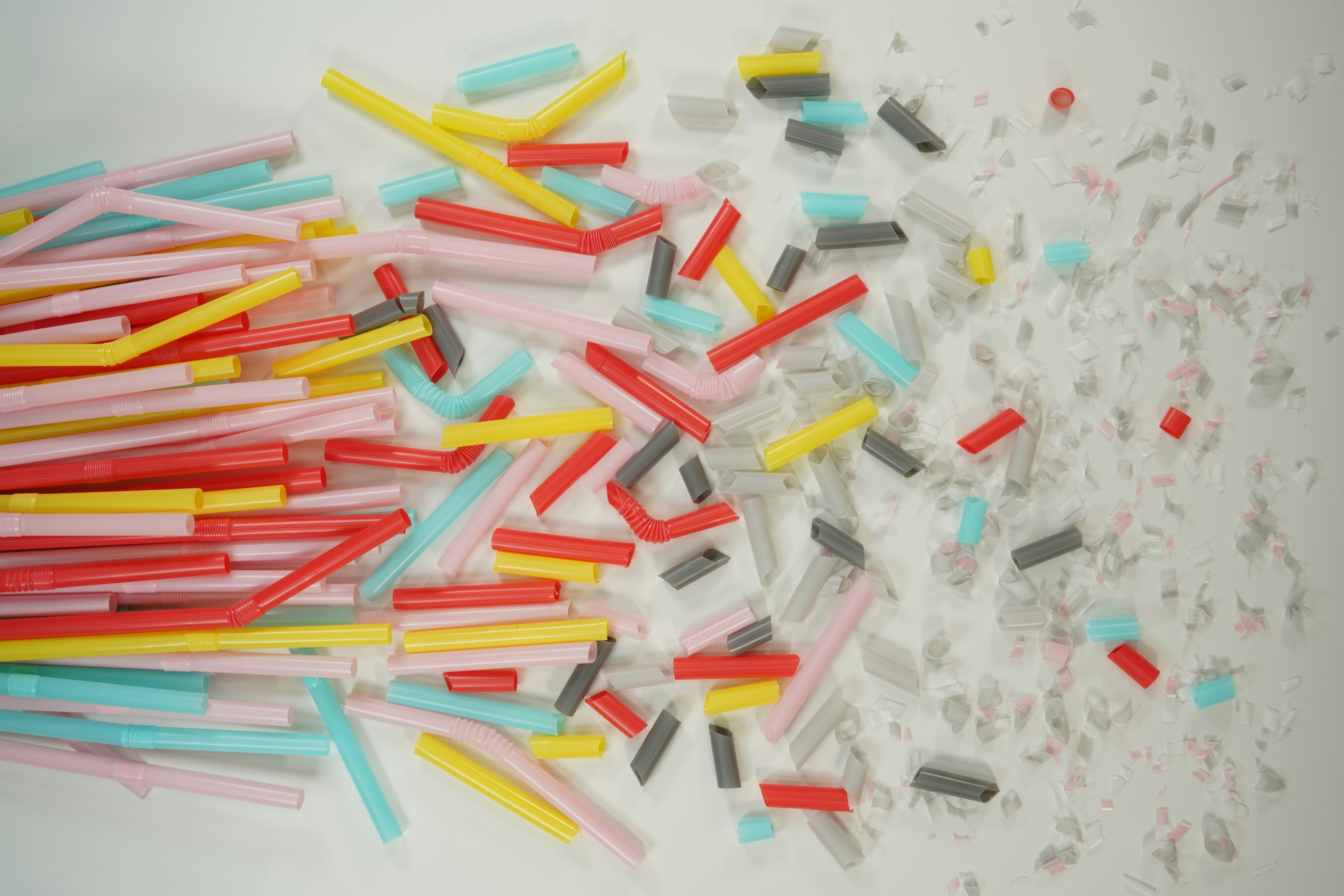 Microplastics in Your Body: What Science Reveals About Health Risks and ...