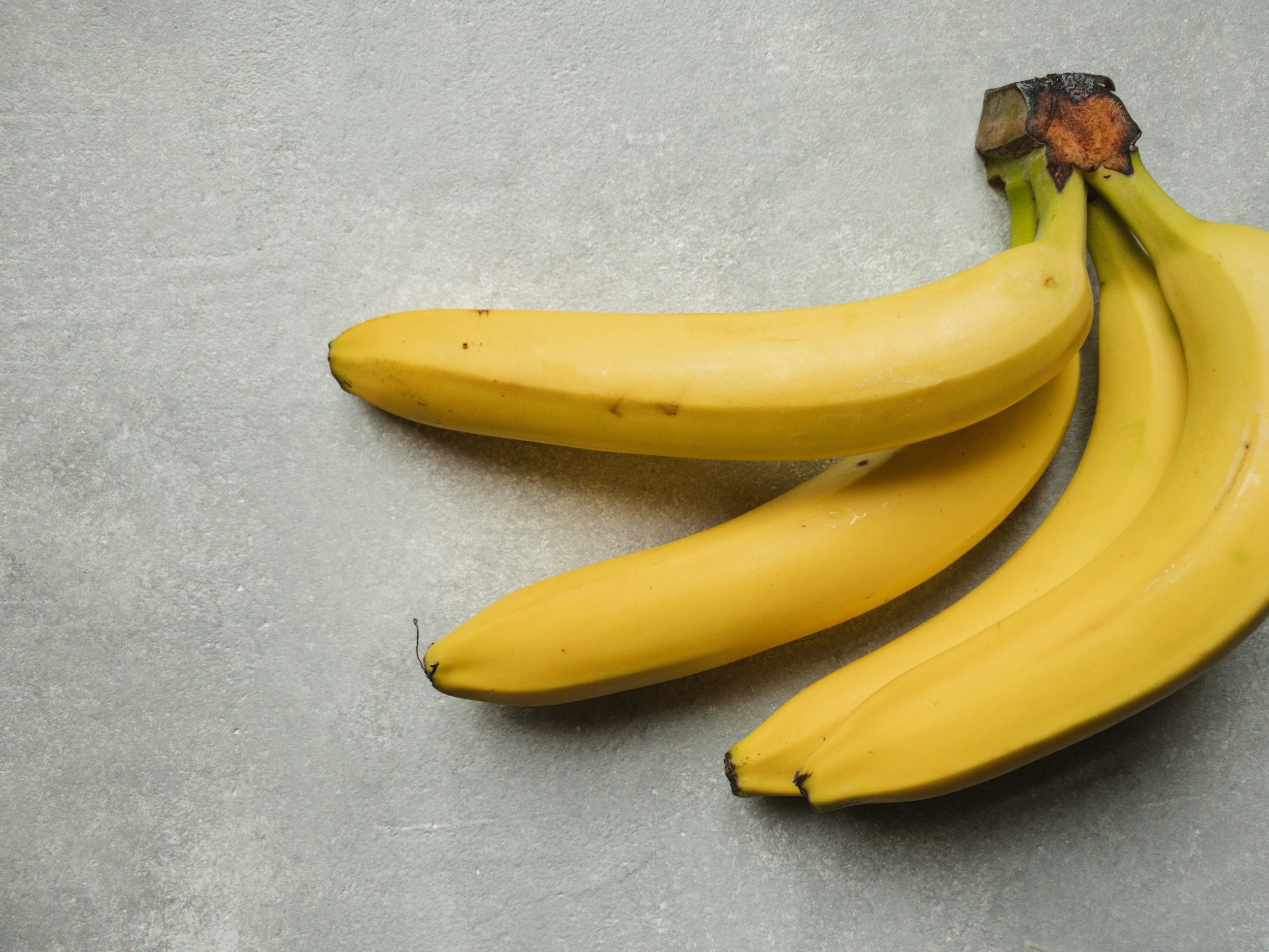 Why Humans Share DNA with Bananas and Other Species: The Science of ...
