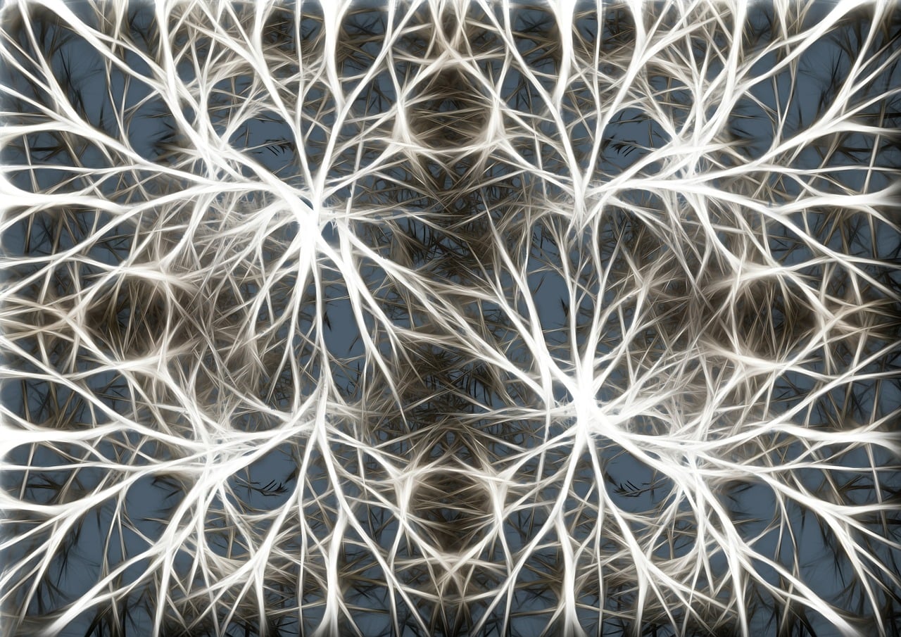 Memory Formation in the Brain and How Encoding and the Hippocampus ...