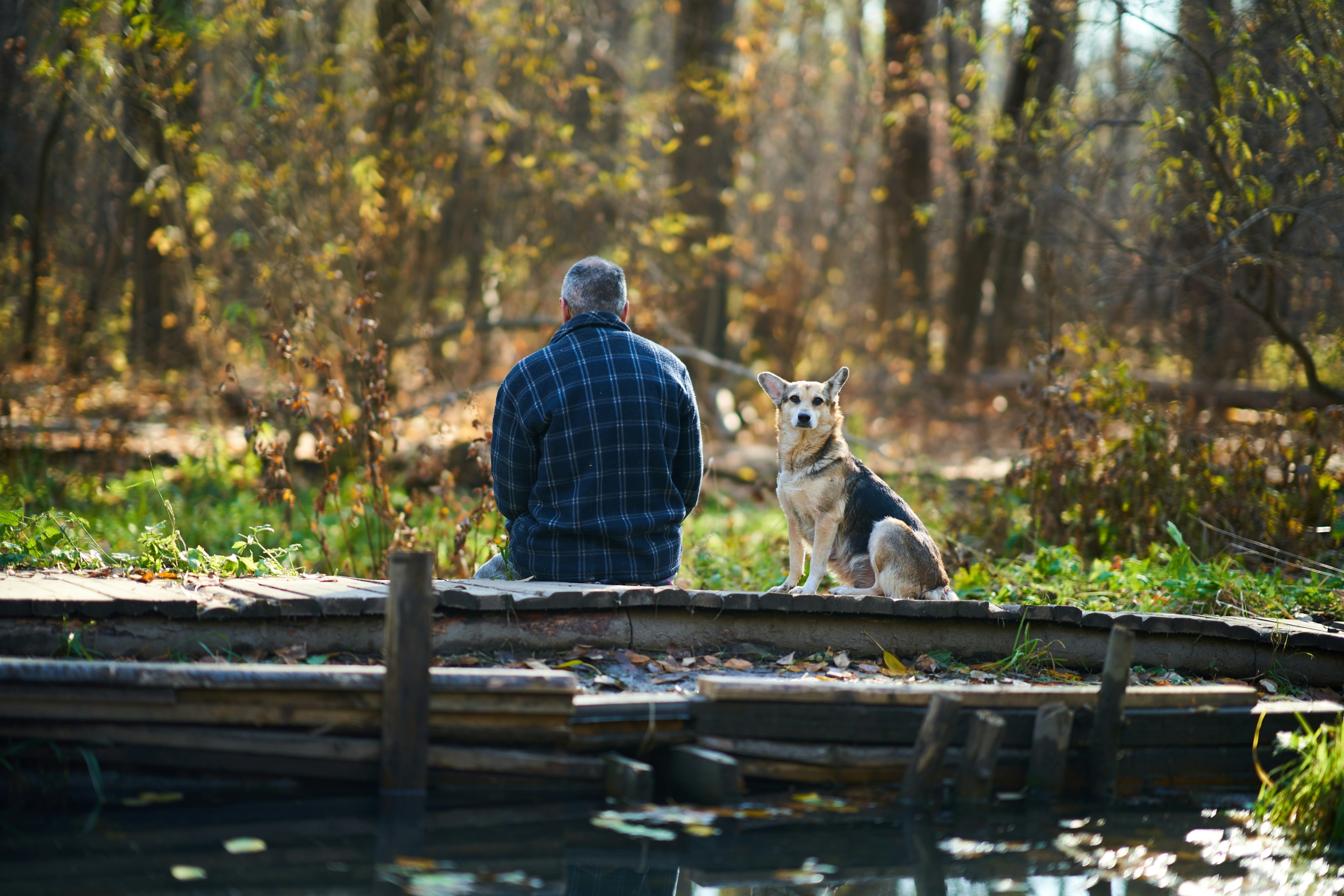 Will Humans Ever Communicate With Animals? The Science Behind Cross ...